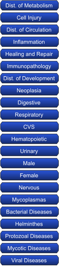 Veterinary Pathology